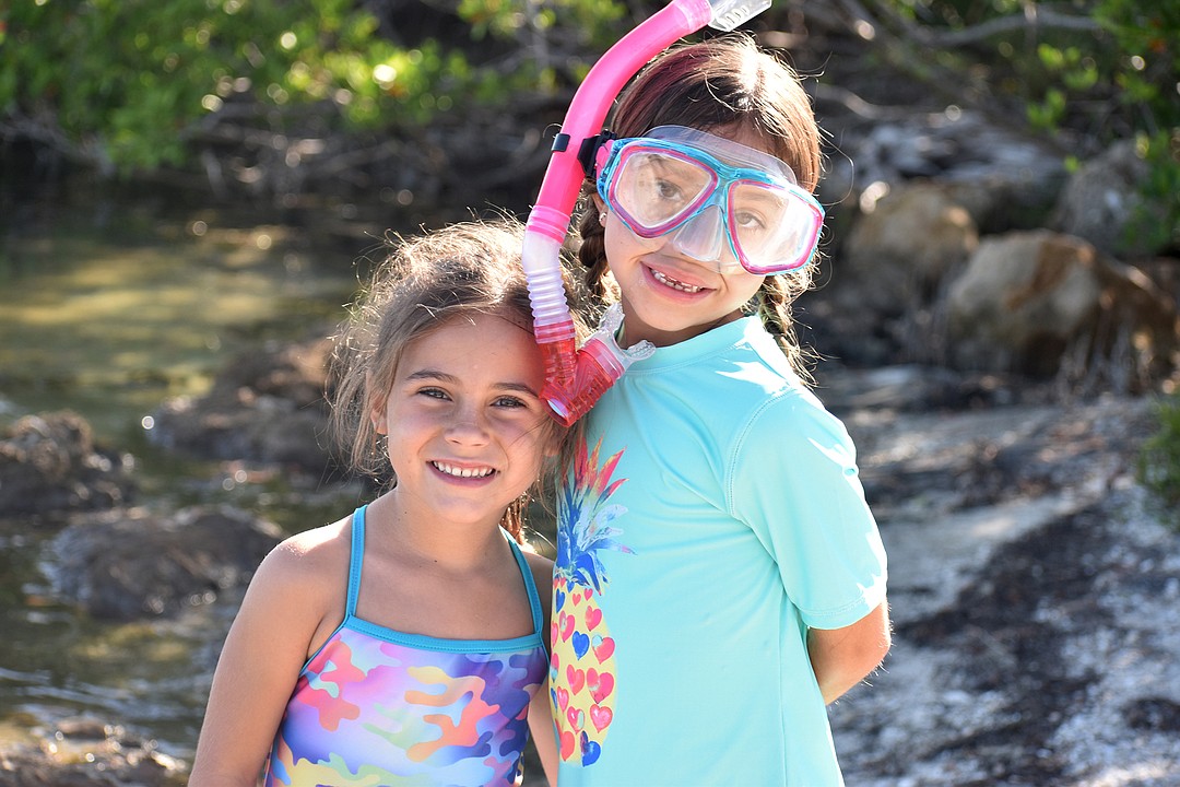 Tidal Tykes take bite out of animal exploration | Your Observer