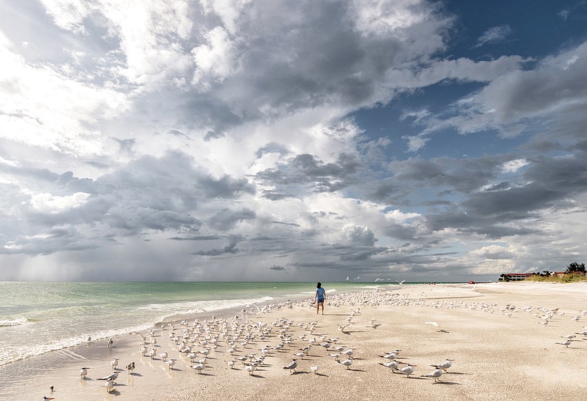 Longboat Key weather page photo: July 19 | Your Observer