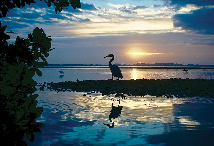 Longboat Key weather page photo: March 14 | Your Observer