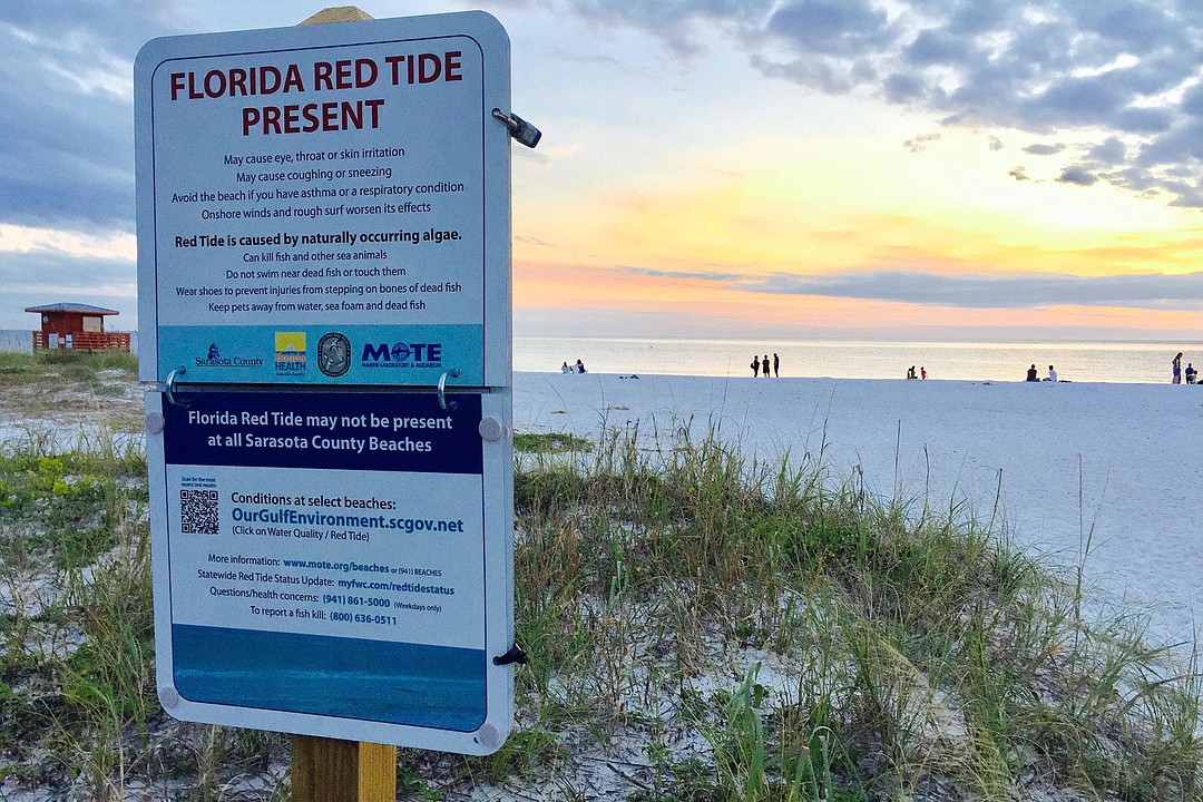 Red tide life cycle hits four stages | Your Observer