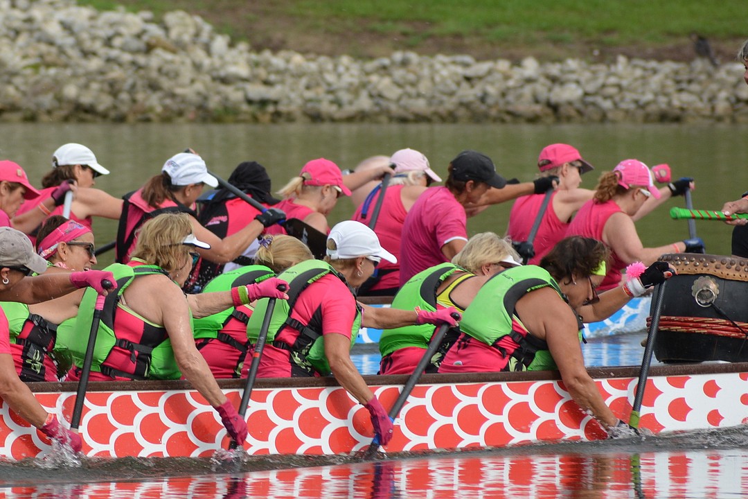 SANCA brings major dragon boat racing event to Sarasota | Your Observer