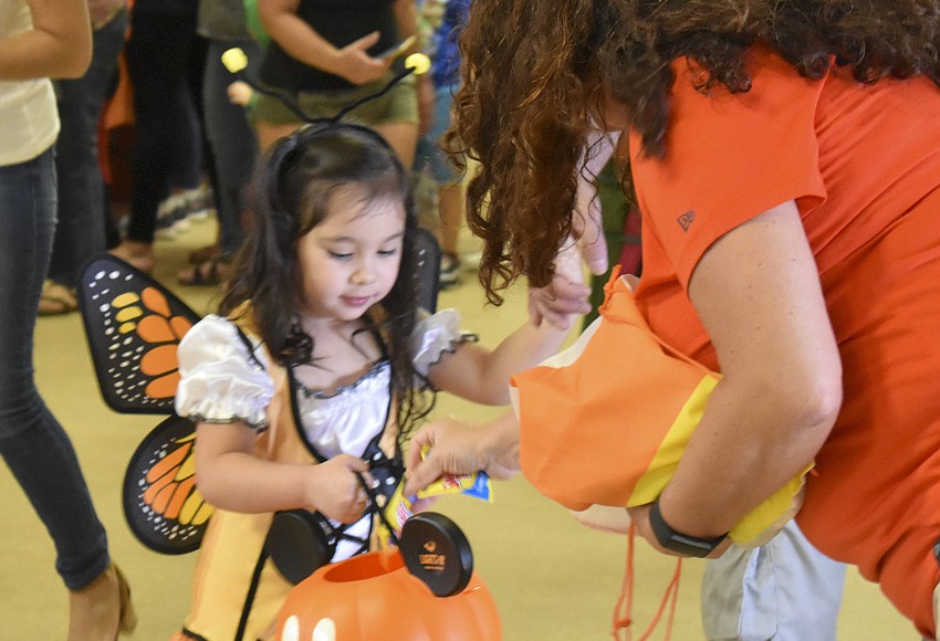 Your Observer | Photo - Reagan Reilly trick-or-treats around Ed Smith ...