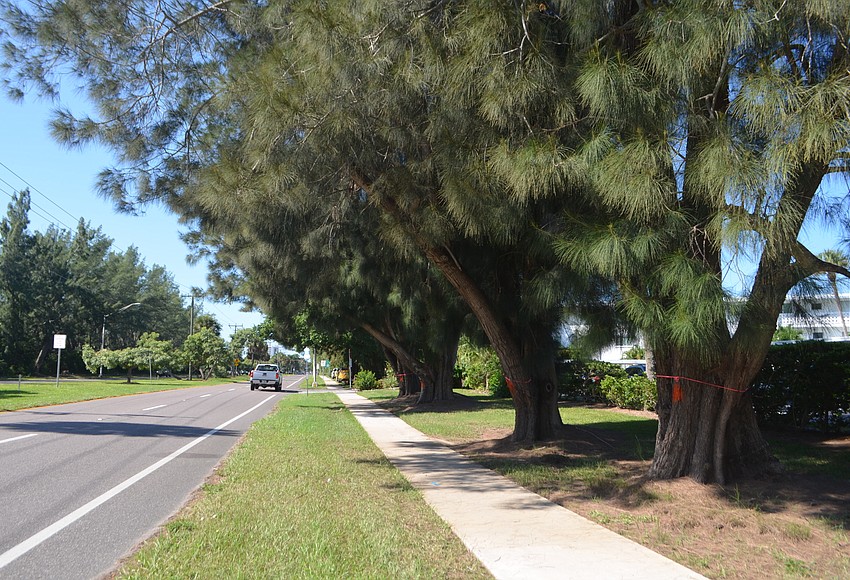Work set to begin on Coon Key trail | Your Observer