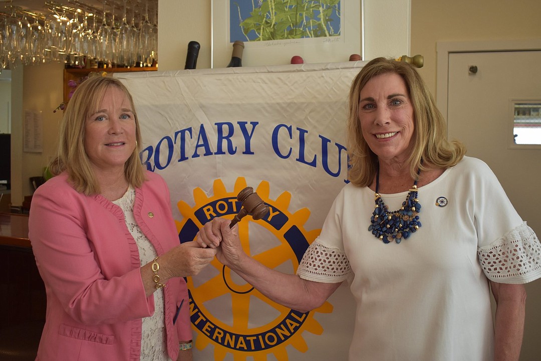 In conversation with Nancy Rozance | Your Observer