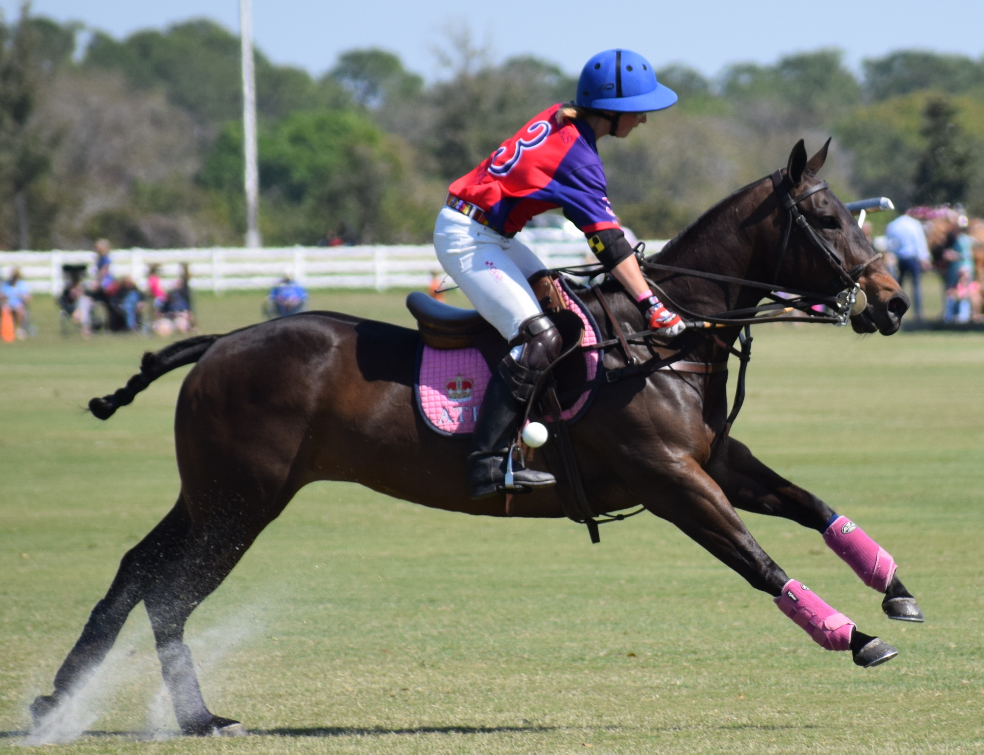 Women's polo draws thousands to Sarasota Polo Club | Your Observer