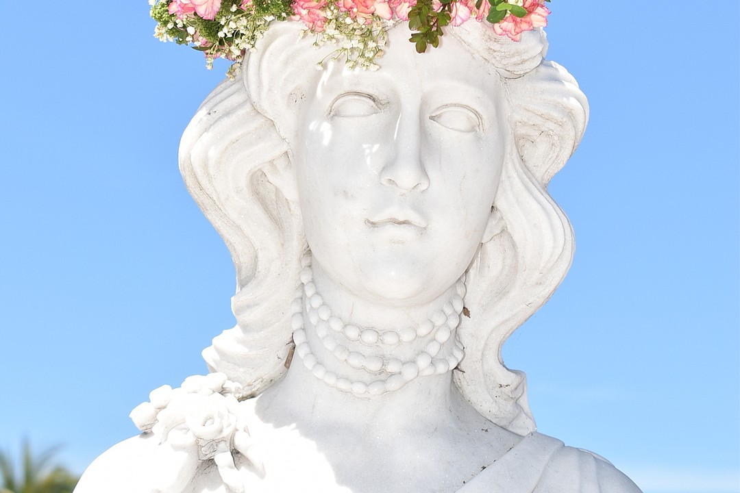 Flora's flowers | Your Observer