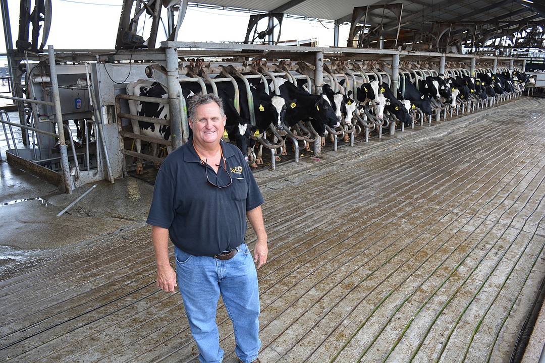 Dakin Dairy in Myakka City seeks funding so it can donate its excess ...