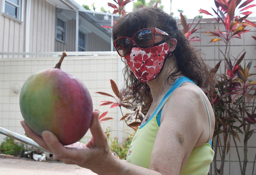 'Mango Queen' can't explain her crop, but she's happy to share | Your ...