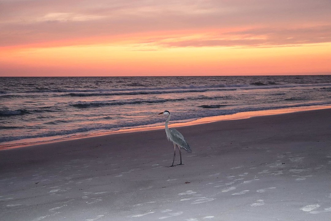 Longboat Key weather page photo: July 23 | Your Observer