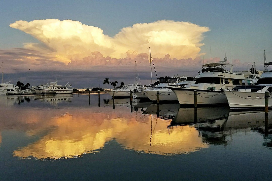 Longboat Key weather page photo: November 26 | Your Observer