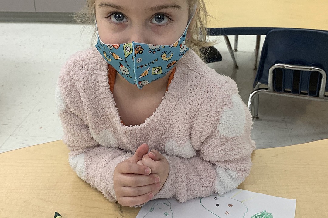 Mini Mustangs return | Your Observer