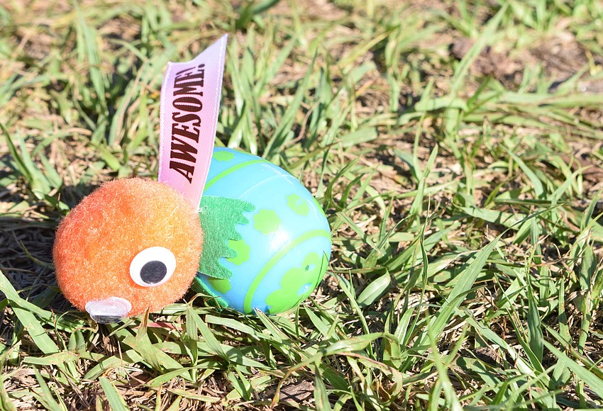 Your Observer | Photo - Dozens of eggs are laid out across the ...