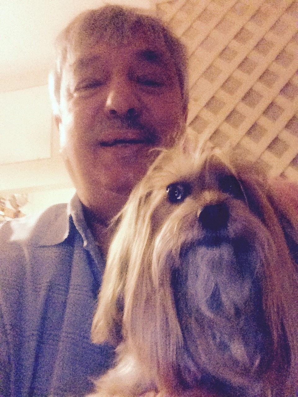 Coco Bertucci, the unofficial canine mascot of St. Armands Circle, dies ...