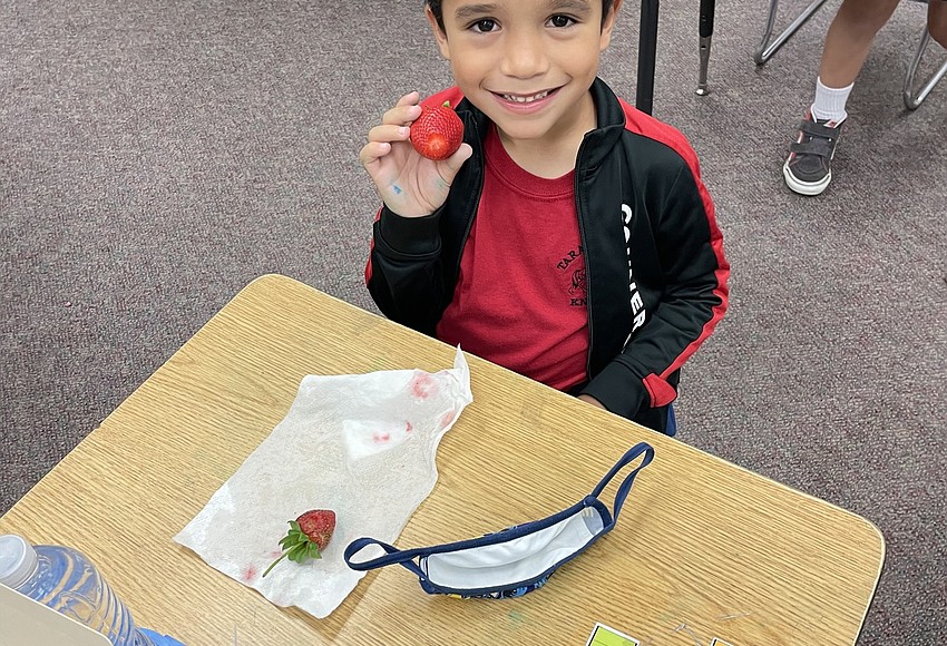 Your Observer | Photo - Nathan Lopez Chang, a Tara Elementary School ...