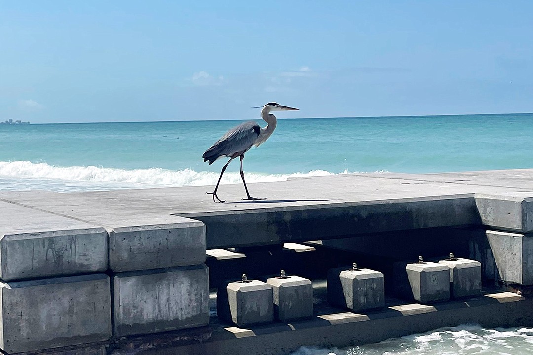 Longboat Key weather page photo: July 1 | Your Observer