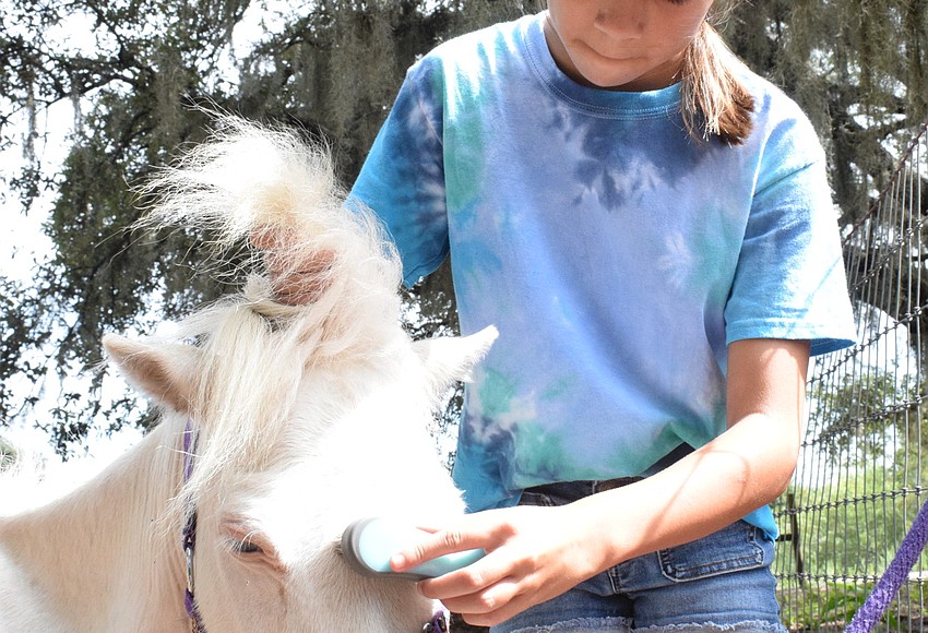 Your Observer | Photo - Avery Stewart, who is 11, brushes the front of ...