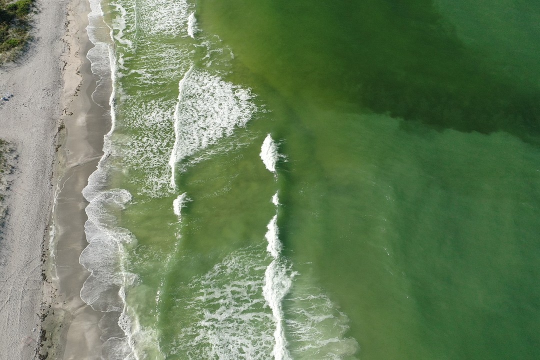 Local experts search for red tide answers | Your Observer