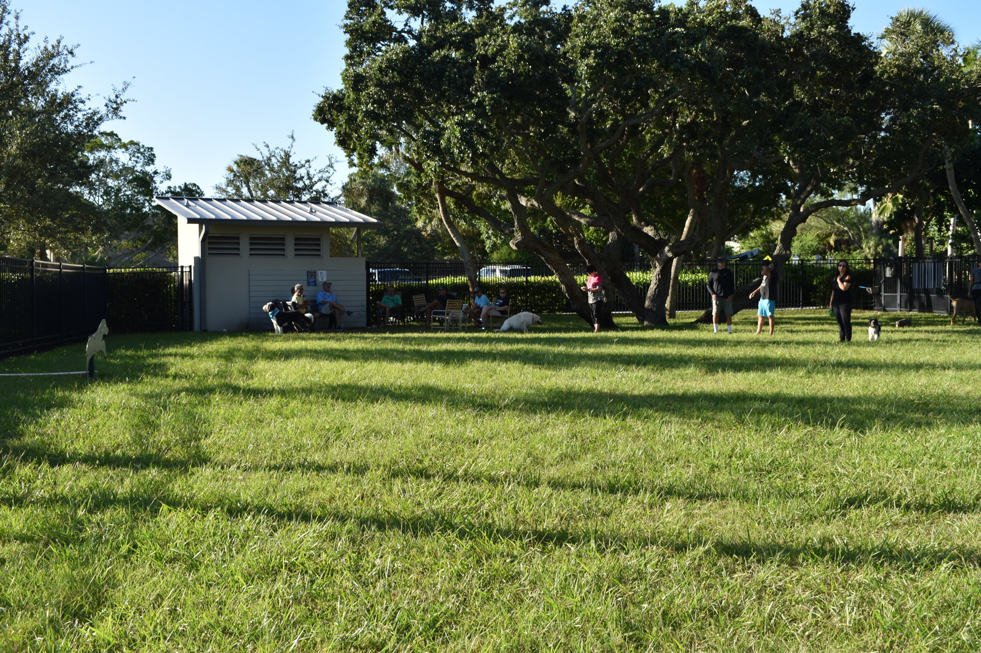 Bayfront Park's dog park reopens | Your Observer