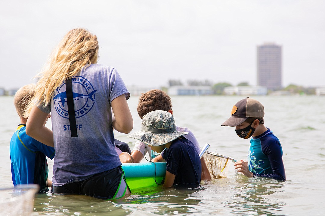 Summer Fun Guide 2022: Science | Your Observer