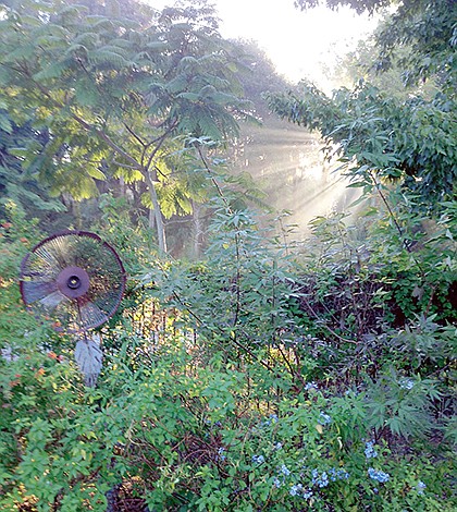 Winner 07.02.15: Sabrina Barber | West Orange Times & Observer