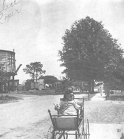 From the WGHF Archives 06.12.14 | West Orange Times & Observer