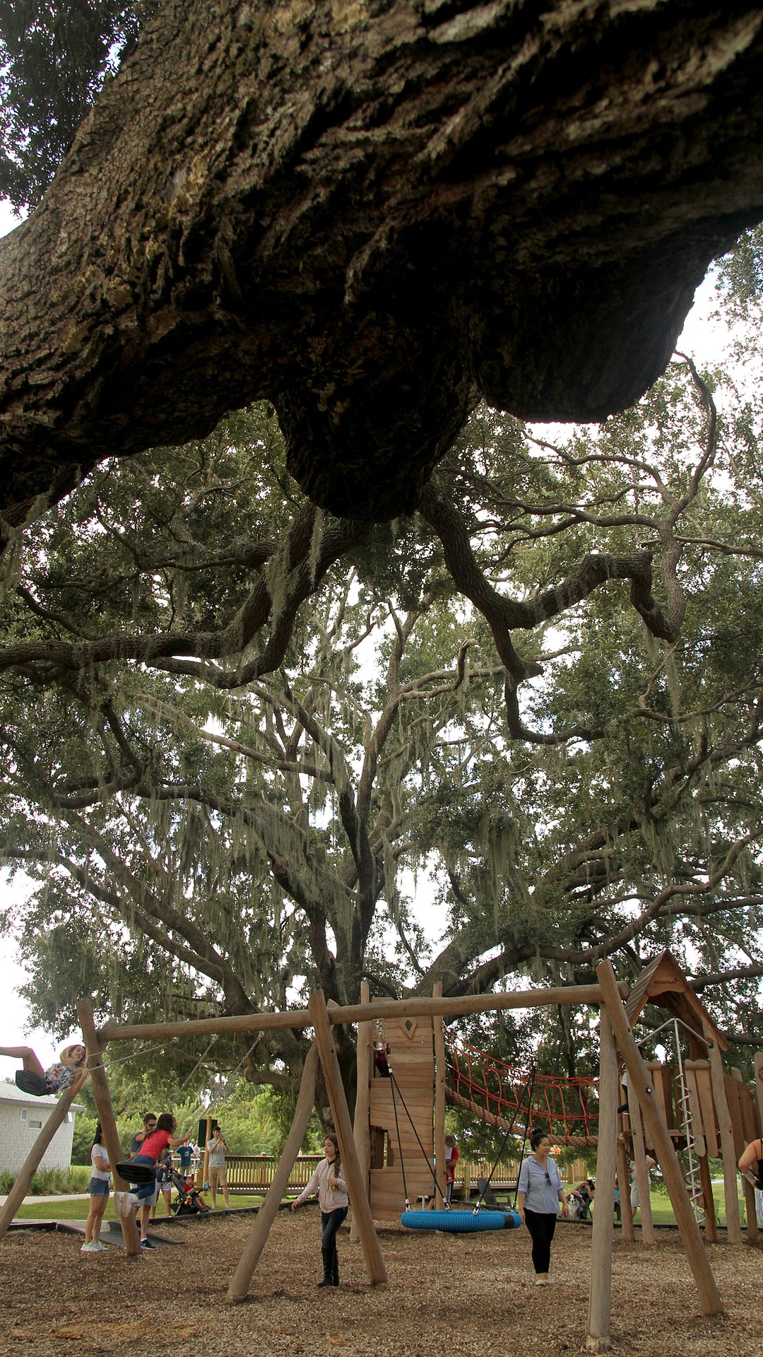 PHOTOS: Tucker Ranch Recreational Park and Nature Preserve Grand ...