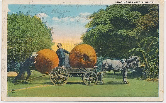 WGHF postcard exhibit: Wish you were here! | West Orange Times & Observer