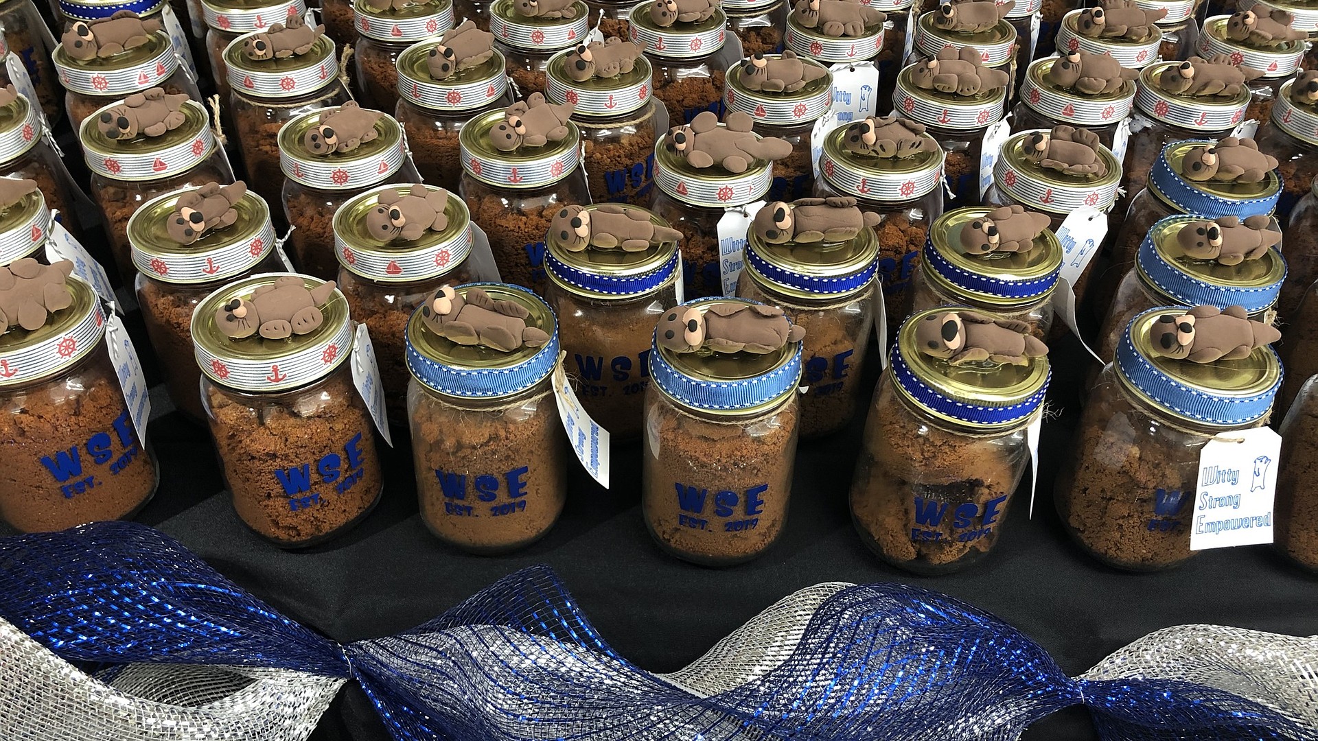 Water Spring Elementary celebrates dedication | West Orange Times ...