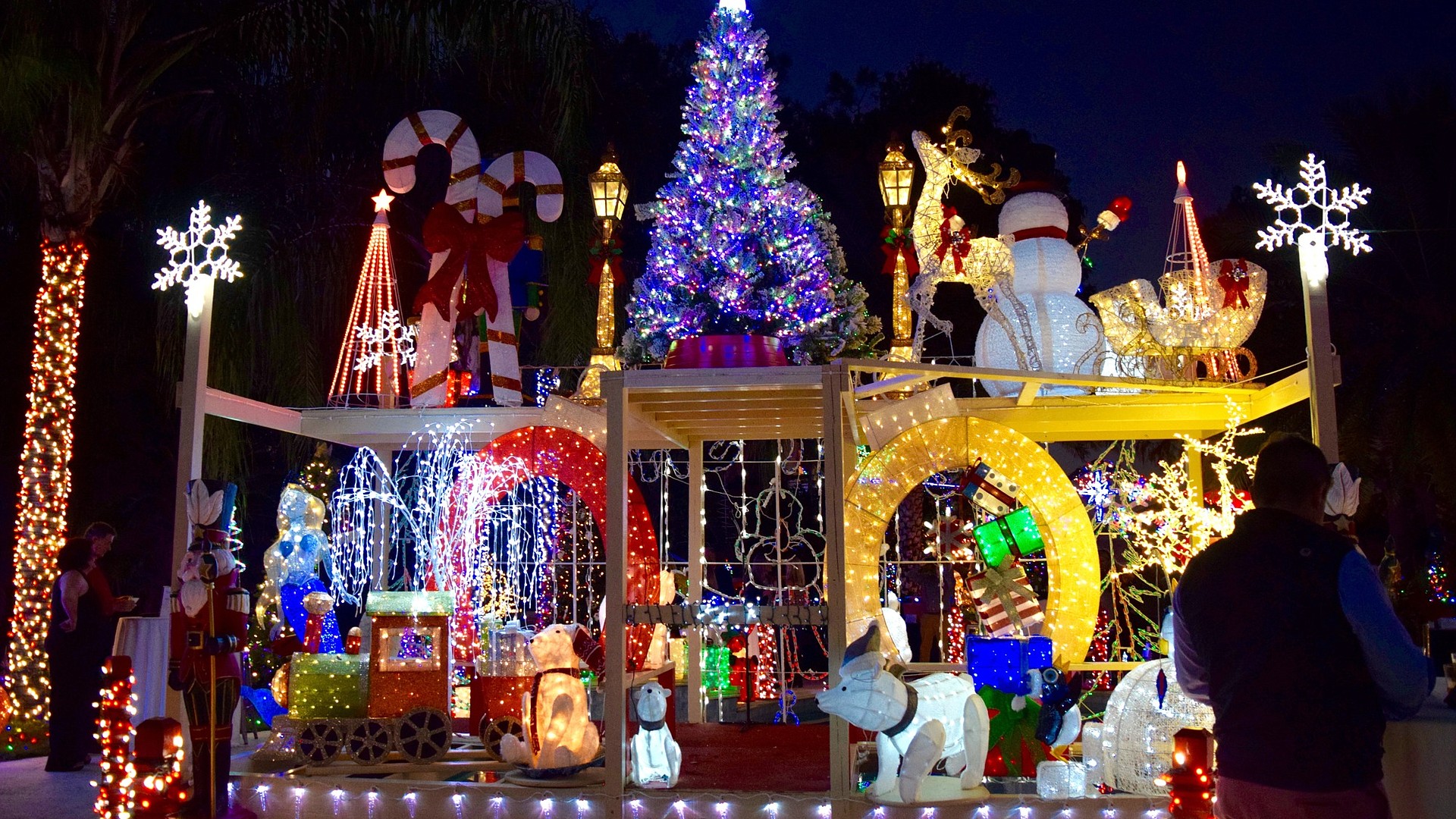 PHOTOS: HighLIGHT Dyslexia Inaugural Fundraiser | West Orange Times ...