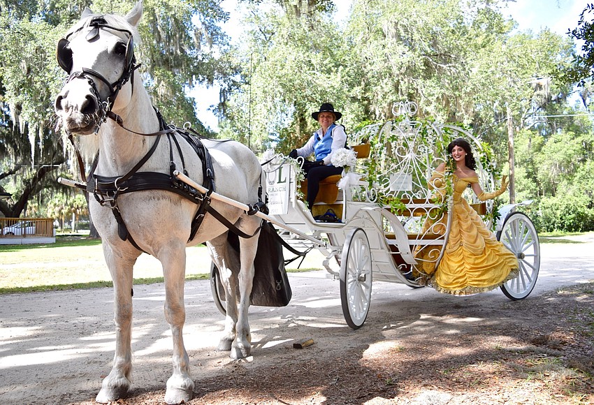 SOUL Haven Ranch partners with community for princess carriage rides ...