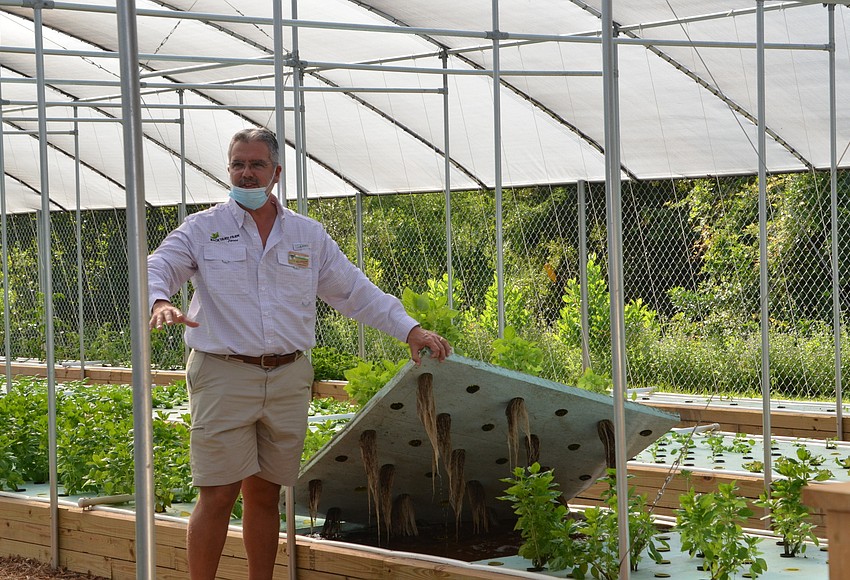 West Orange Times & Observer | Photo - Mark Pester of Backyard Farm ...