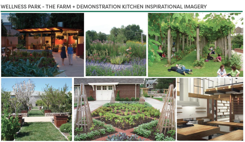 FORECAST: Tucker Ranch to become health, wellness park | West Orange ...