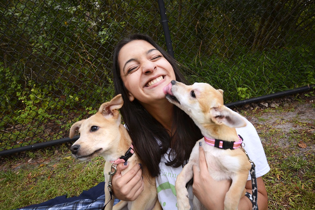 Puppy love: Ashley Scire honored for her service to helping dogs | West ...