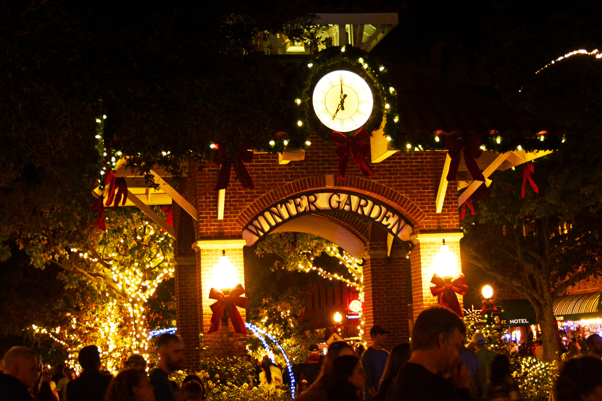PHOTOS: Light Up Winter Garden | West Orange Times & Observer