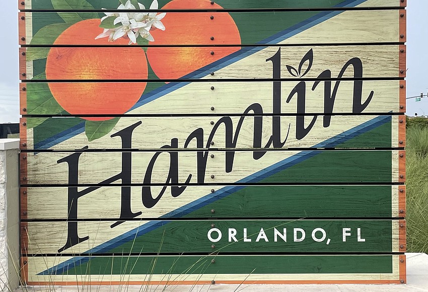 FORECAST: The growing Hamlin Town Center | West Orange Times & Observer