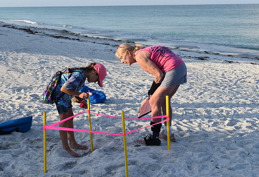 Your Observer | Photo - Suzy Mitchell helps Gemma Stubbs wrap caution ...