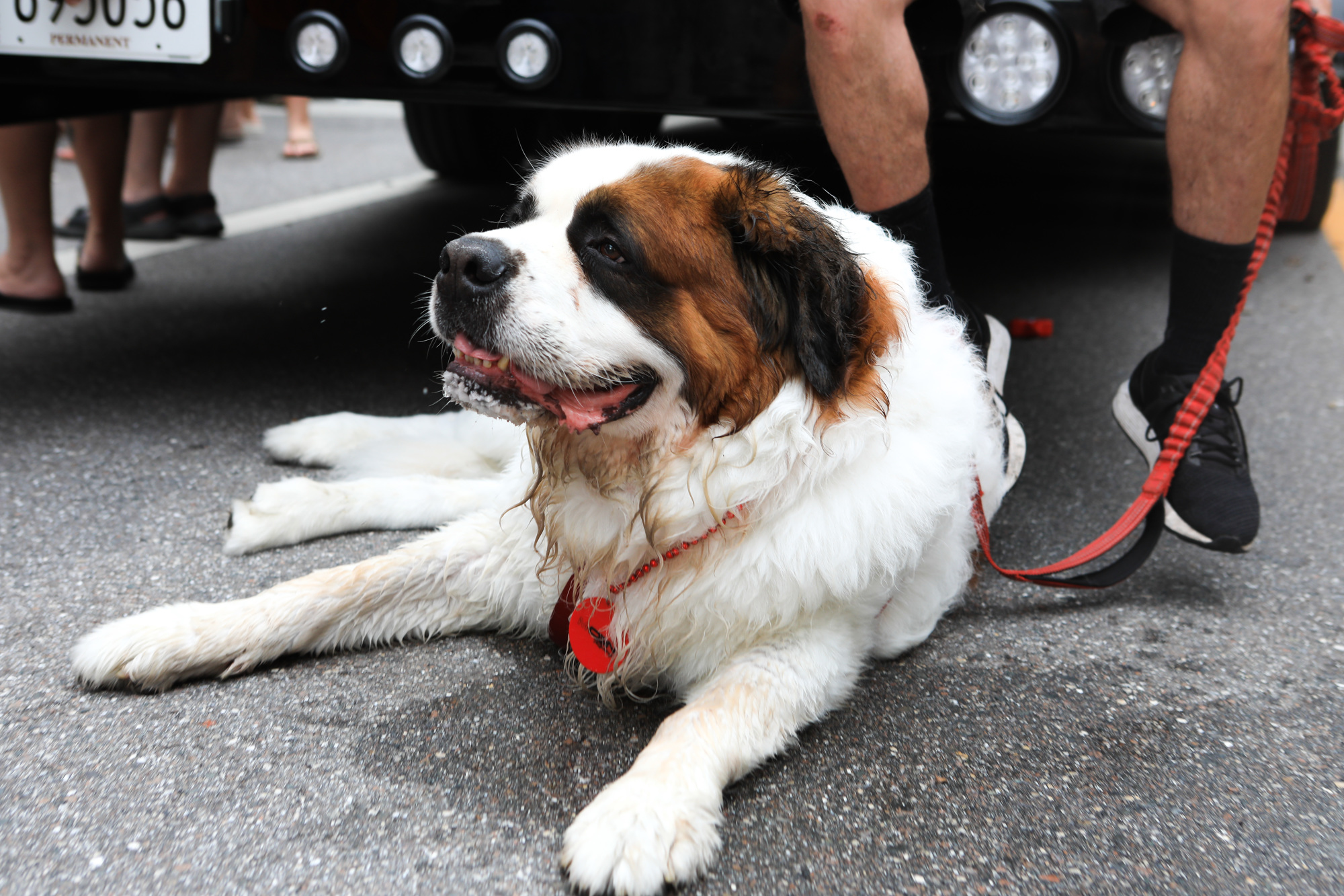 2022 Sarasota Powerboat Grand Prix kicks off with block party | Your ...