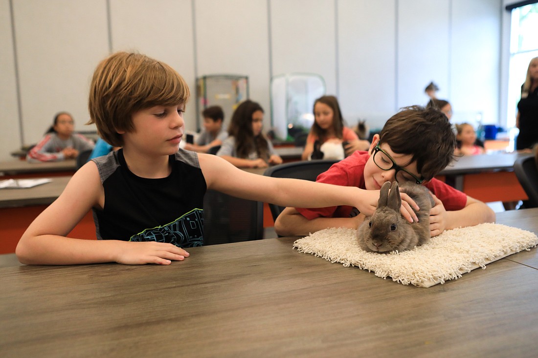 Photo: Luca MacBeth and Gavin Adair-Kottke become quick friends with ...