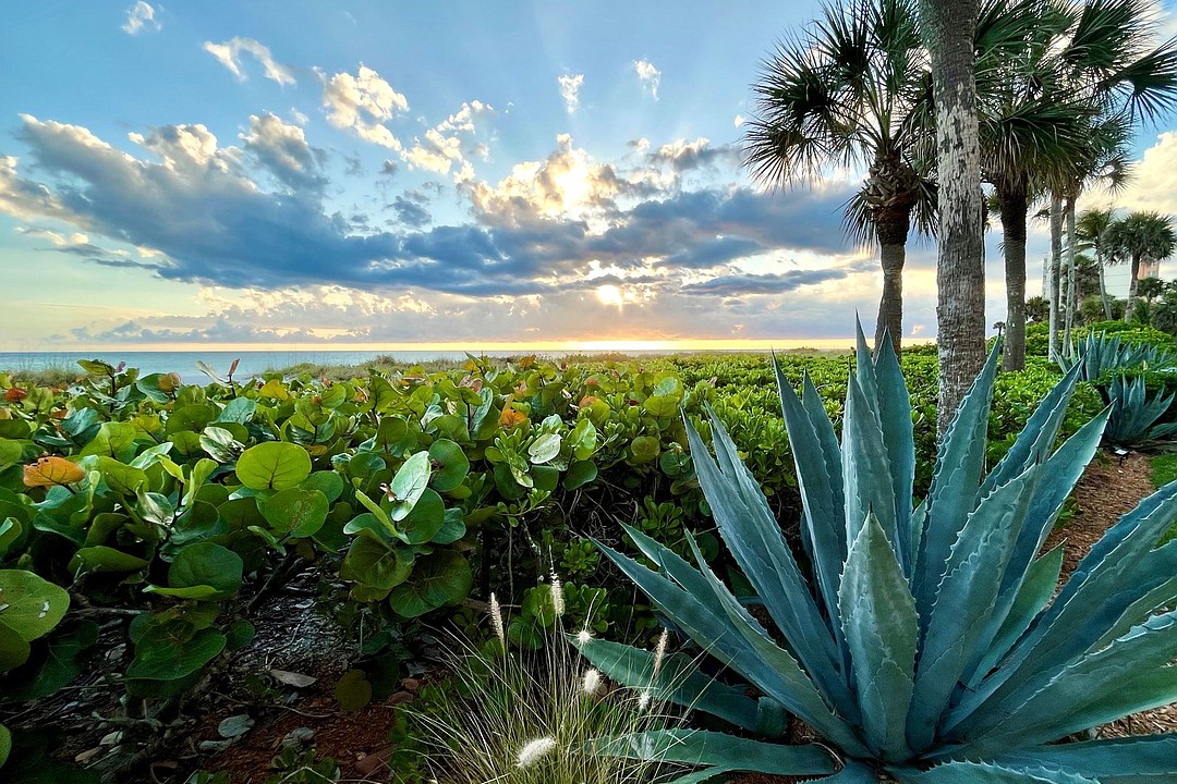 Longboat Key weather page photo: August 4 | Your Observer