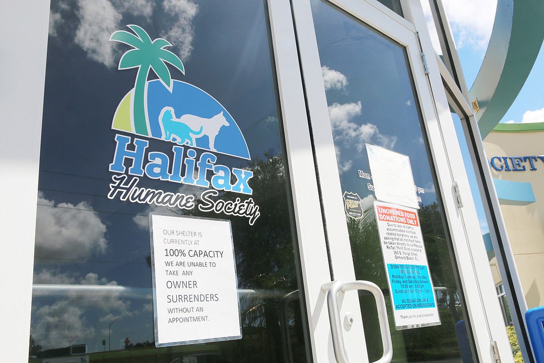 Halifax Humane Society operating above its capacity | Observer Local ...