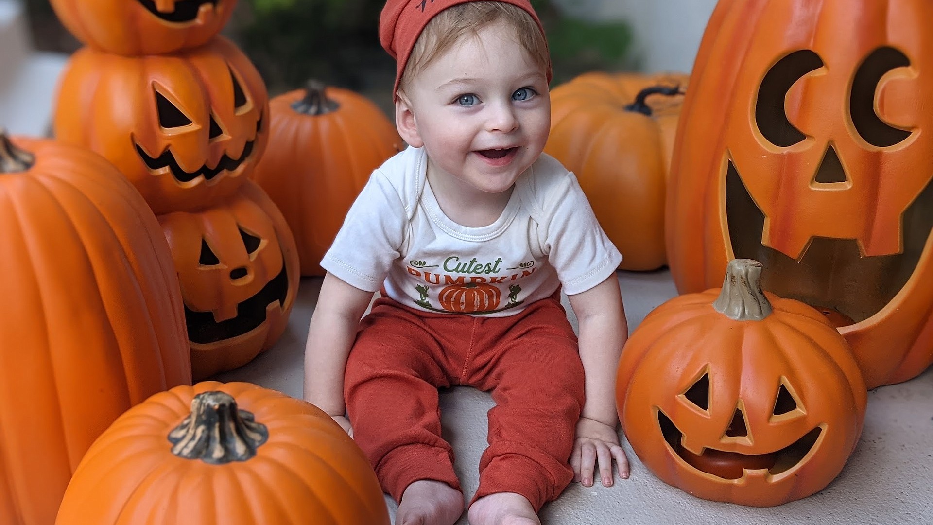 A Miracle for Max | West Orange Times & Observer