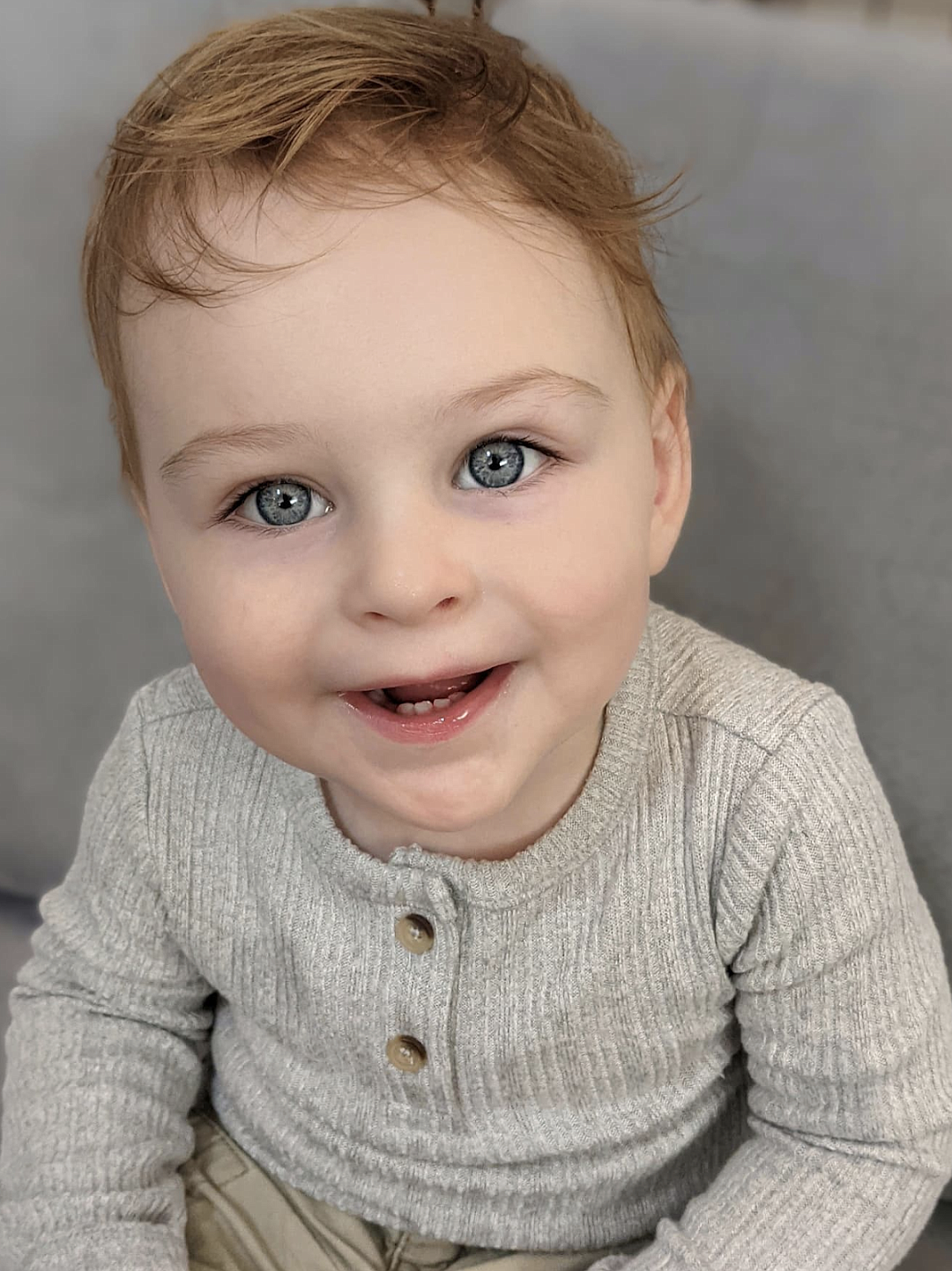 A Miracle for Max | West Orange Times & Observer