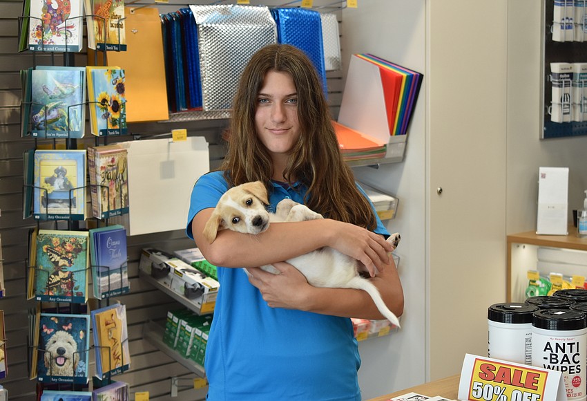 Your Observer | Photo