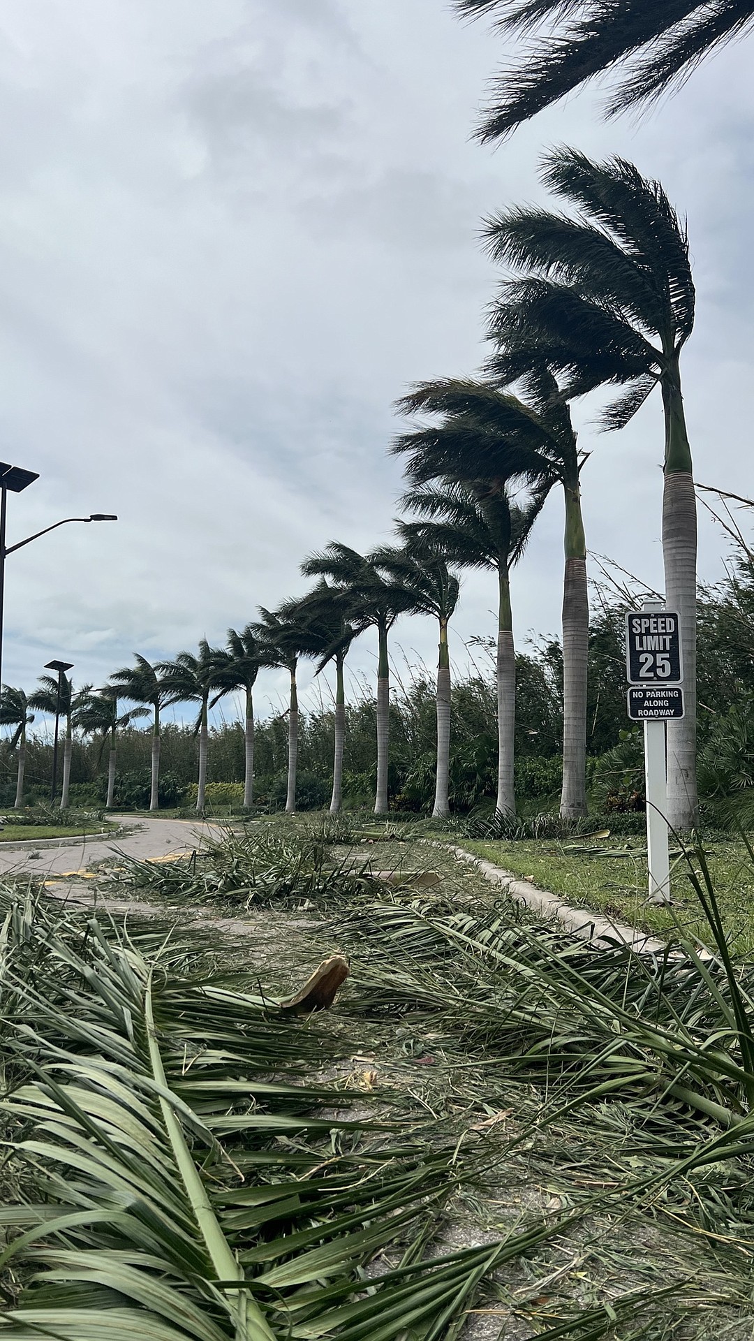 See Hurricane Ian's impact on Longboat Key | Your Observer
