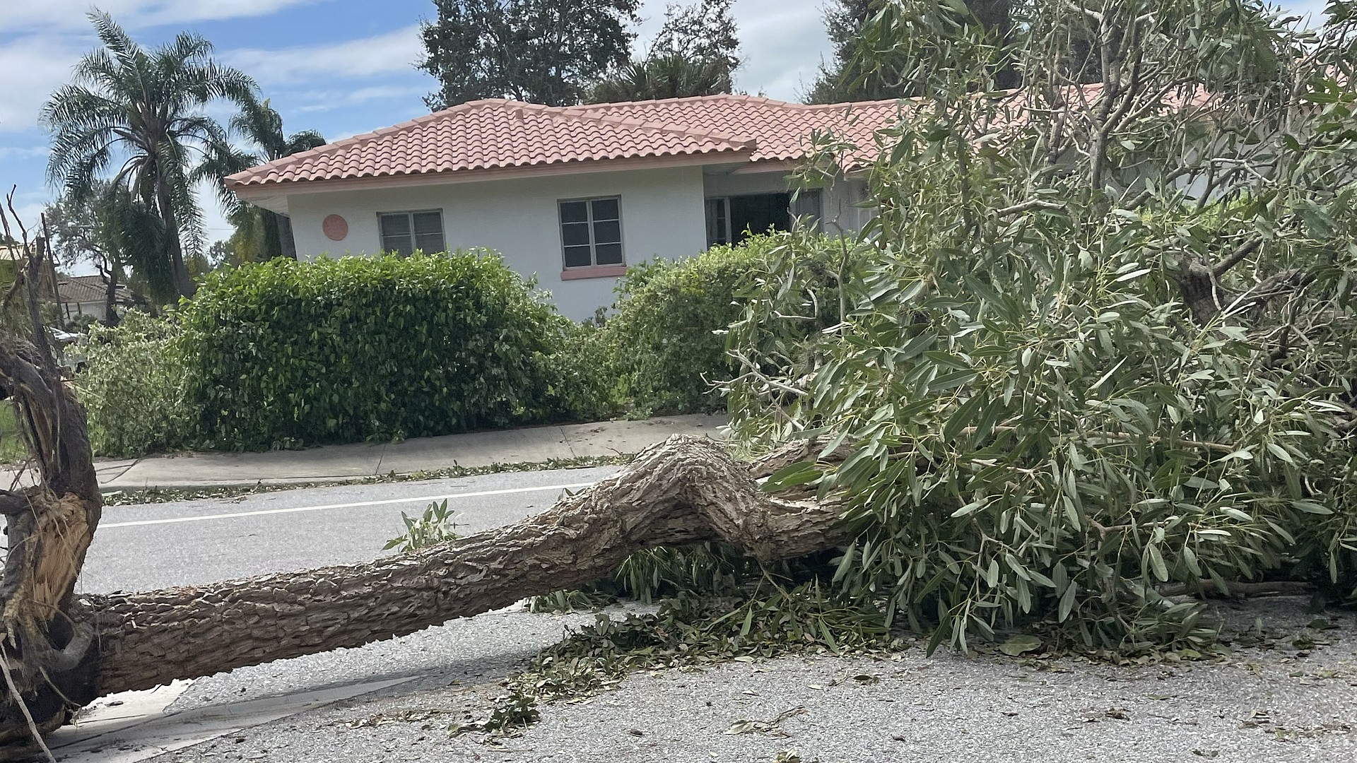 Siesta Key battered but not broken after Hurricane Ian | Your Observer