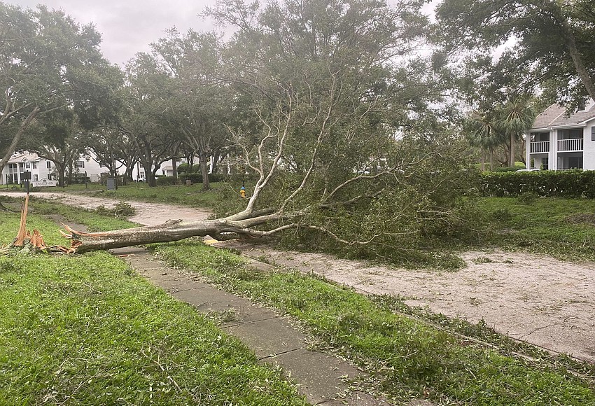 Sarasota begins storm debris collection Wednesday | Your Observer