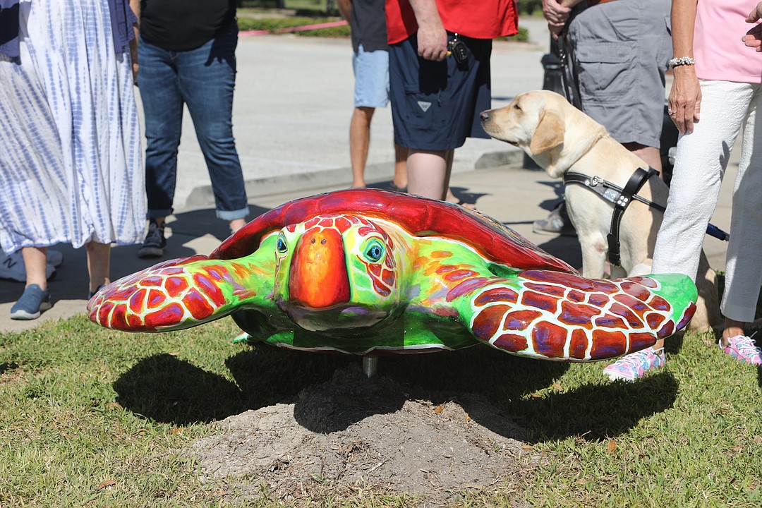 'The SEE Turtle:' Palm Coast Arts Foundation unveils No. 18 on The ...