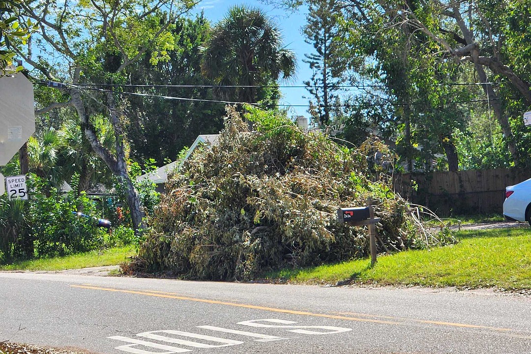 City expands storm debris collection beyond vegetative materials | Your ...