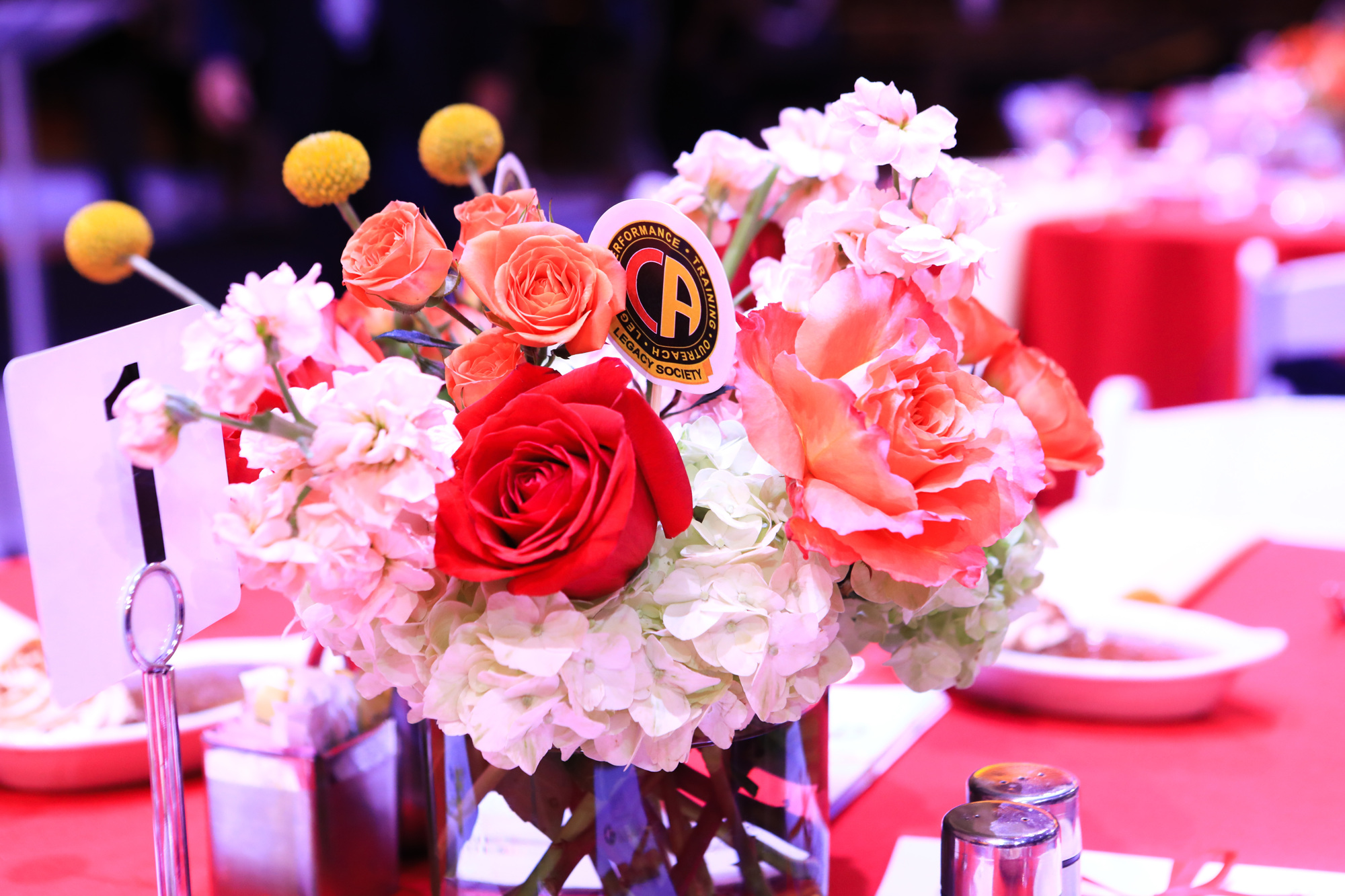 Circus Arts Conservatory hosts annual Legacy Luncheon | Your Observer