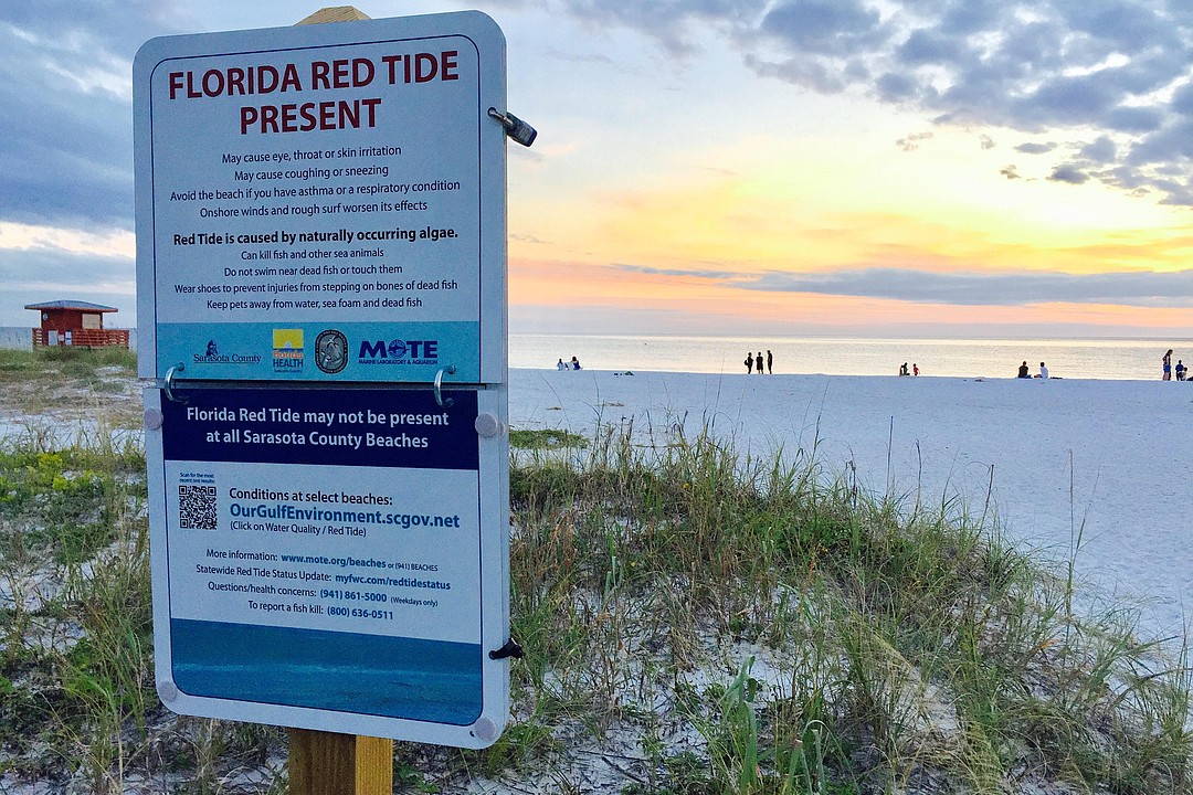 Red tide levels persist at local beaches | Your Observer